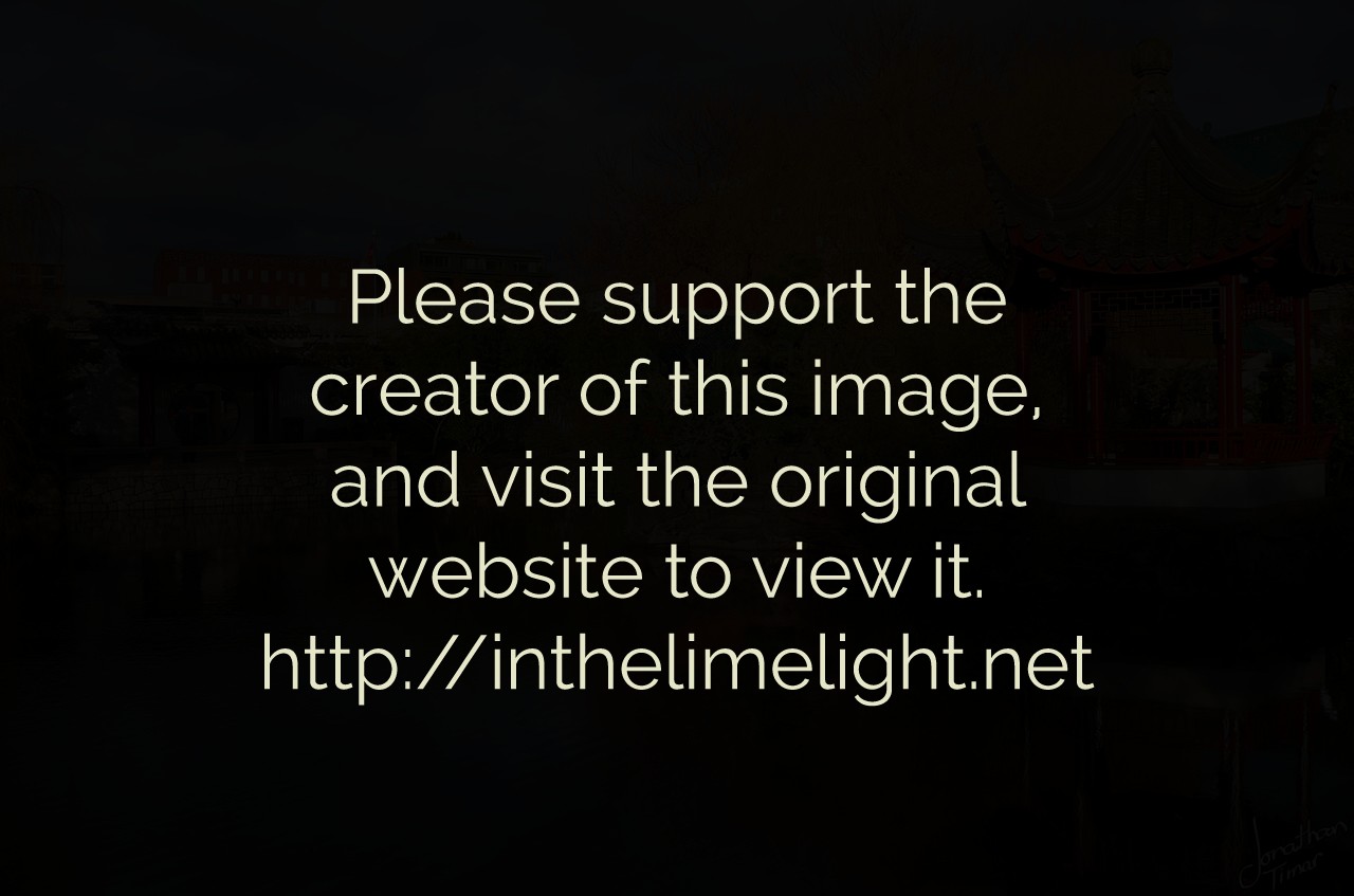 Nigel – Handsome Boy with a Dirty Shirt | Jonathan Timar