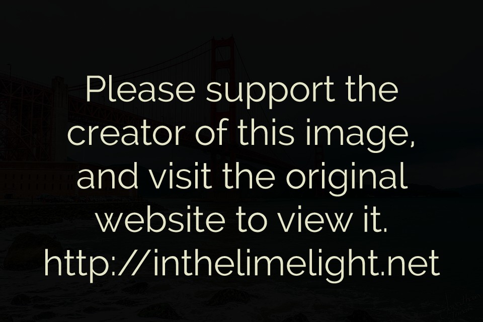 The Beautiful Golden Gate Bridge, San Francisco | Jonathan Timar