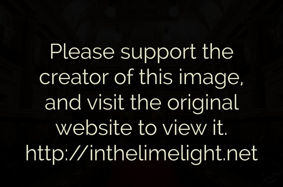 Visiting Elk | Jonathan Timar
