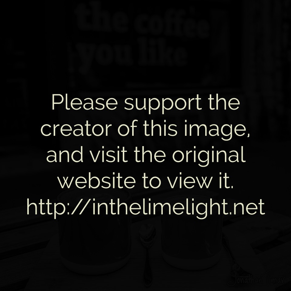 Nigel – Handsome Boy with a Dirty Shirt | Jonathan Timar