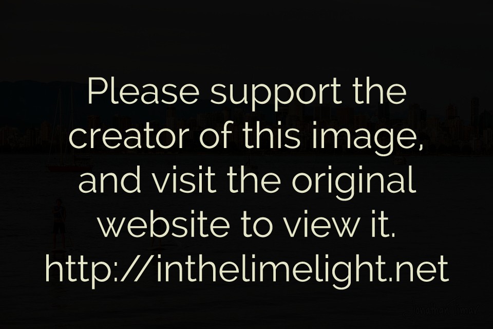 Nigel – Handsome Boy with a Dirty Shirt | Jonathan Timar